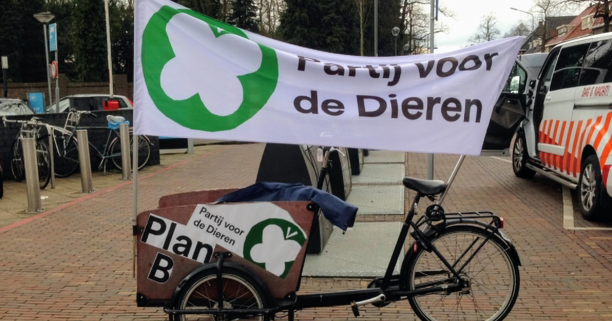 Interview met Michelle van Doorn en Eline Lauret | Nieuws | Partij voor ...