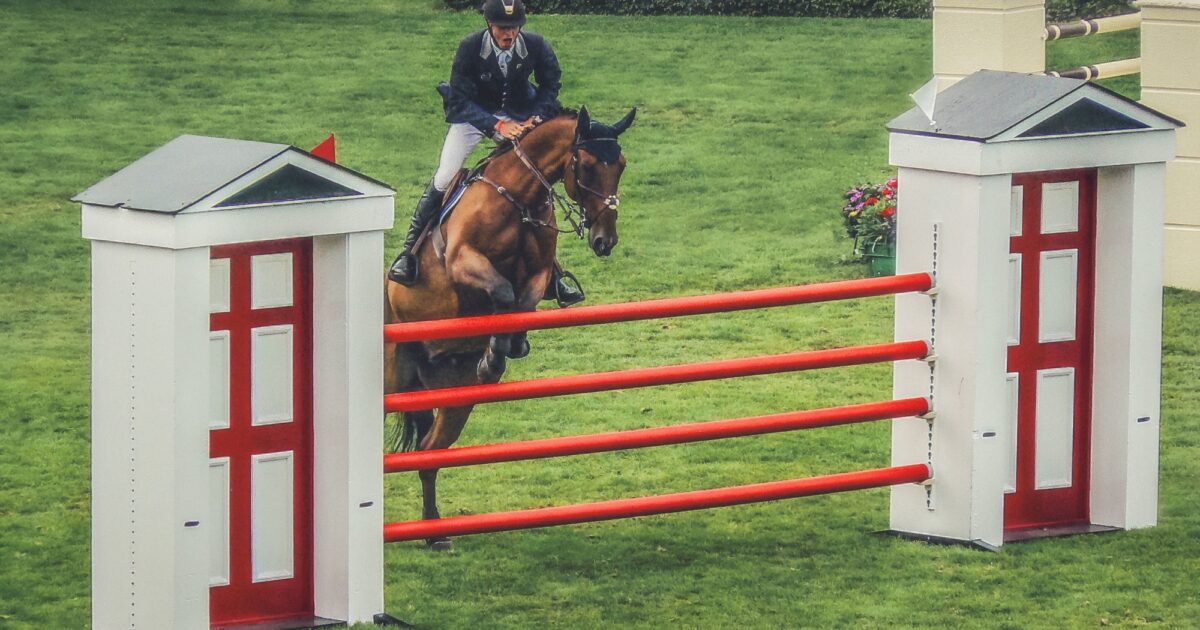 Partij voor de Dieren | Schriftelijke vragen over het bericht ‘Tweede…