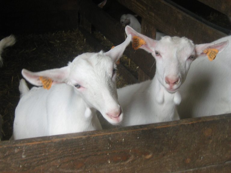 Vragen Vestering over hoe we een wereld van verschil kunnen maken voor ...