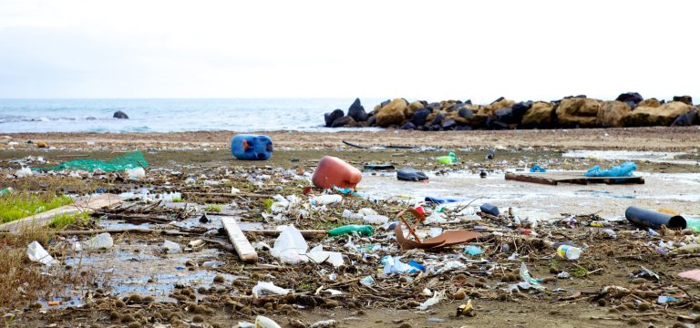 Stevige actie nodig in strijd tegen de plastic soep - Partij voor de Dieren