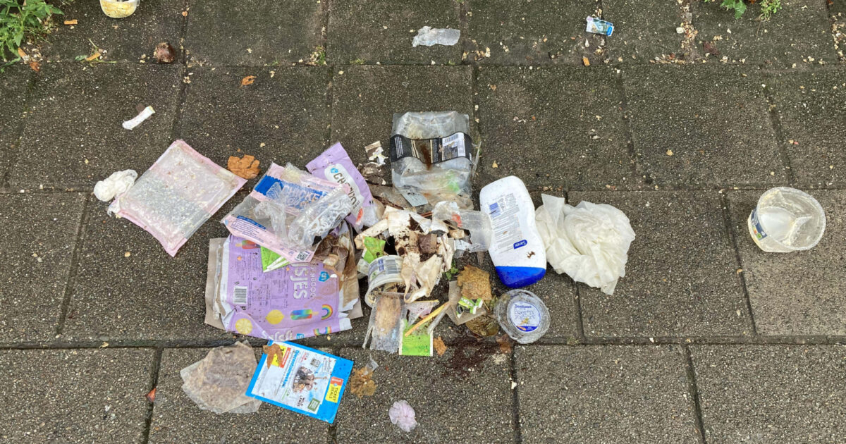 Zwerfafval: de vervuiler verantwoordelijk | Nieuws | Partij voor de Dieren