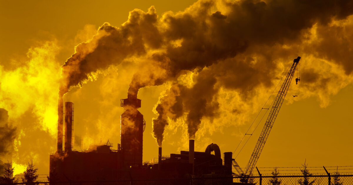 Partij voor de Dieren | Stop de vervuiling!