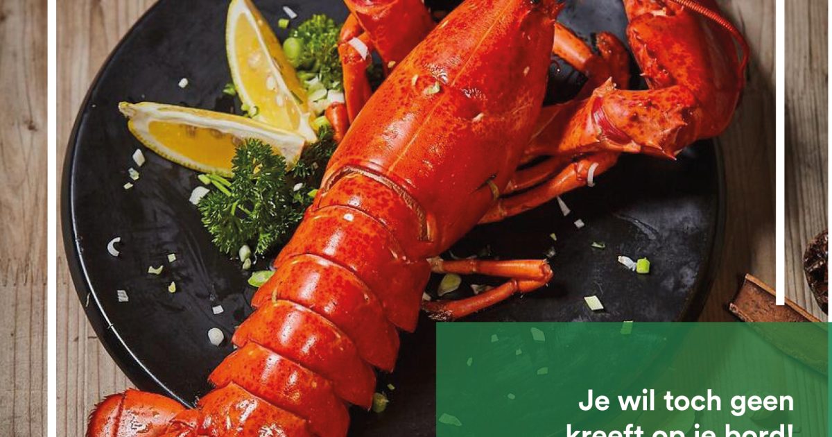 De PvdD zet zich in voor al wat leeft | Nieuws | Partij voor de Dieren