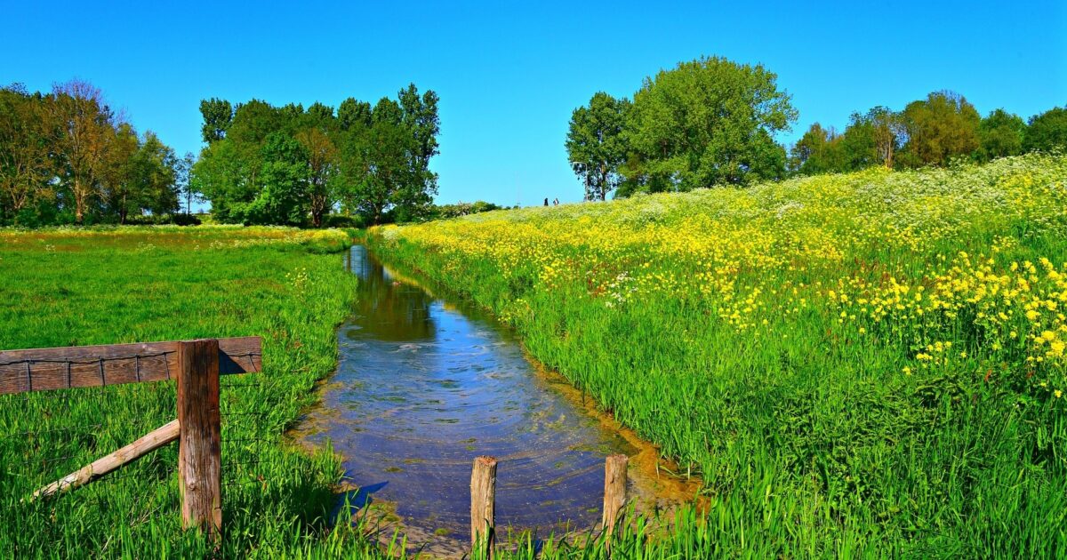 Natuur en dieren een stevige stem in de Noord-Hollandse waterschappen ...