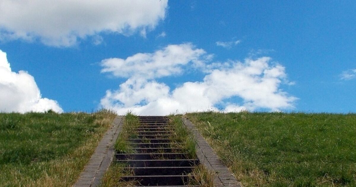 Partij voor de Dieren | Veilige, duurzame dijken